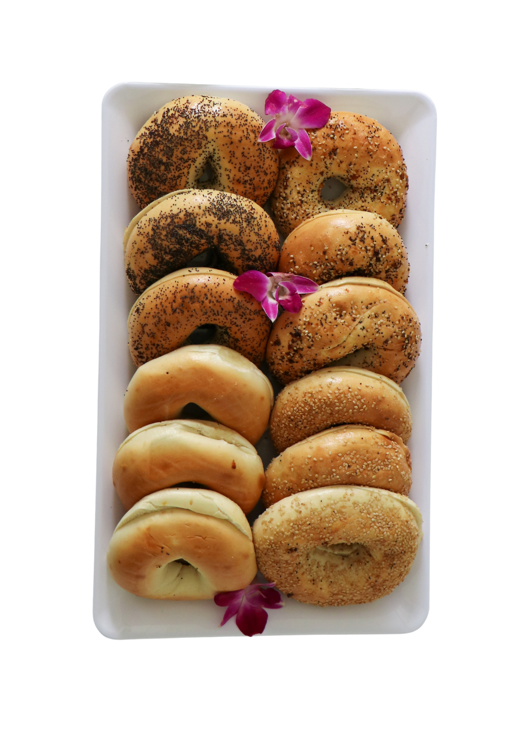 Assorted Bagels (NF, V) – Occasions Caterers